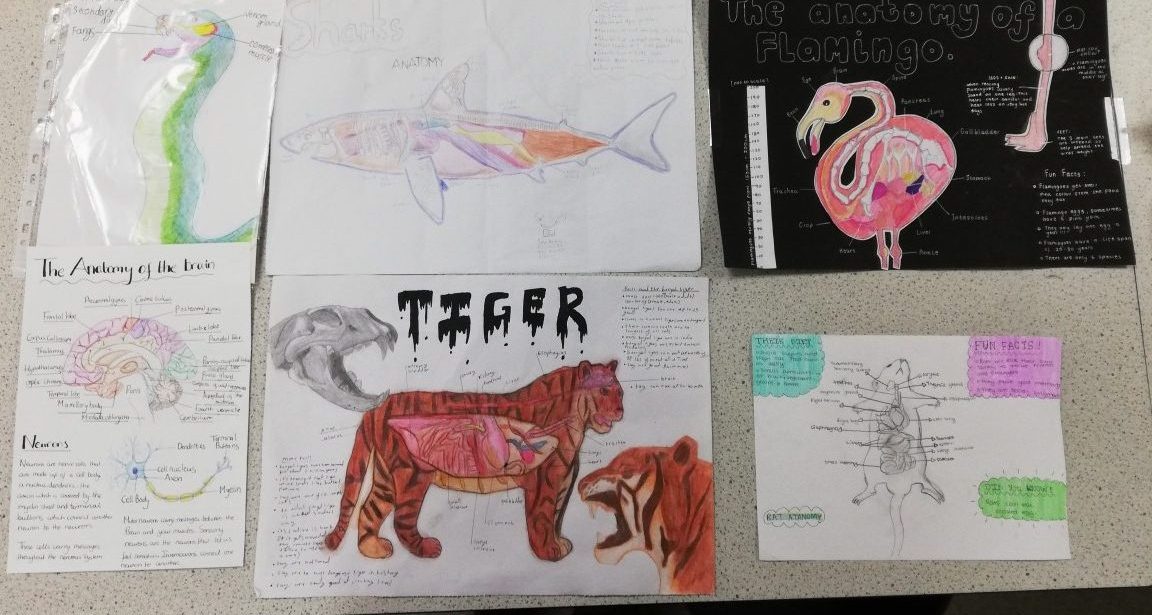 Science Week competition winners - Myton School